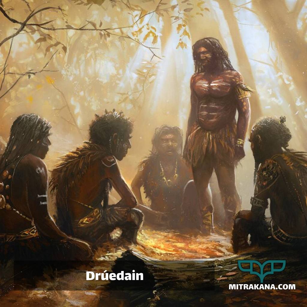 Dúnedain (MEN) - mitrakana